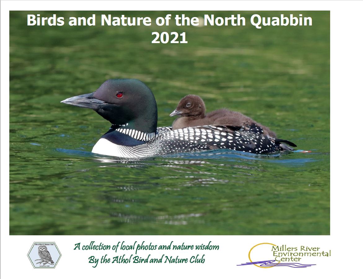 ABNC 2021 Calendar Now Available - Athol Bird & Nature Club
