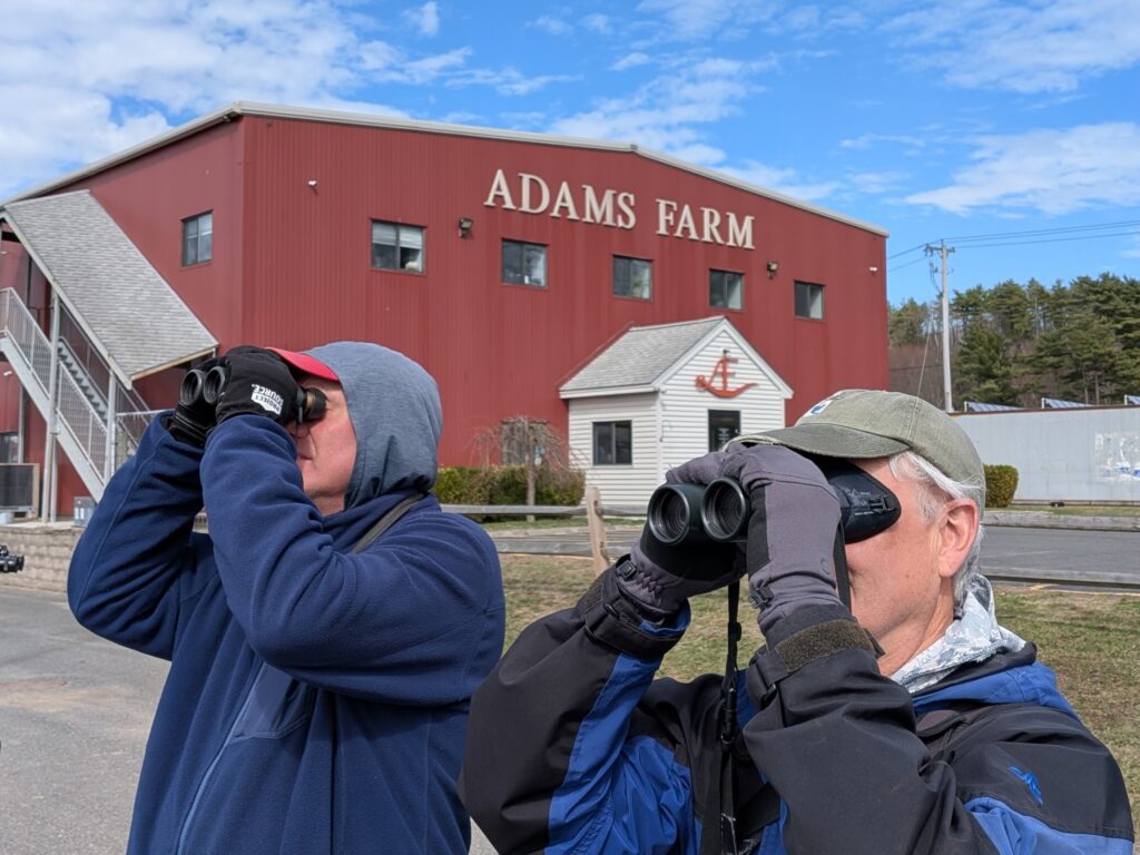 Adams Farm Hawkwatch 2026 Update - Athol Bird & Nature Club